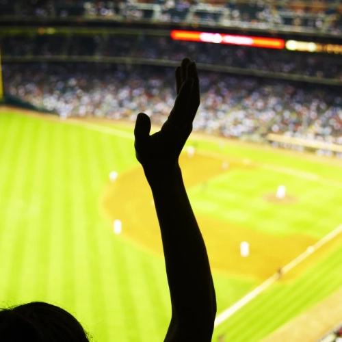 Pest Control for Sports & Entertainment Venues | JP Pest Services