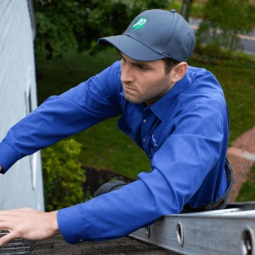 JP Pest Services | Pest Control & Exterminator NH, MA, ME & VT